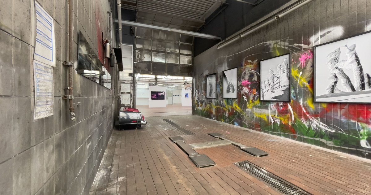 Diego Palacios - Exhibitions | MAG Montero Art Gallery